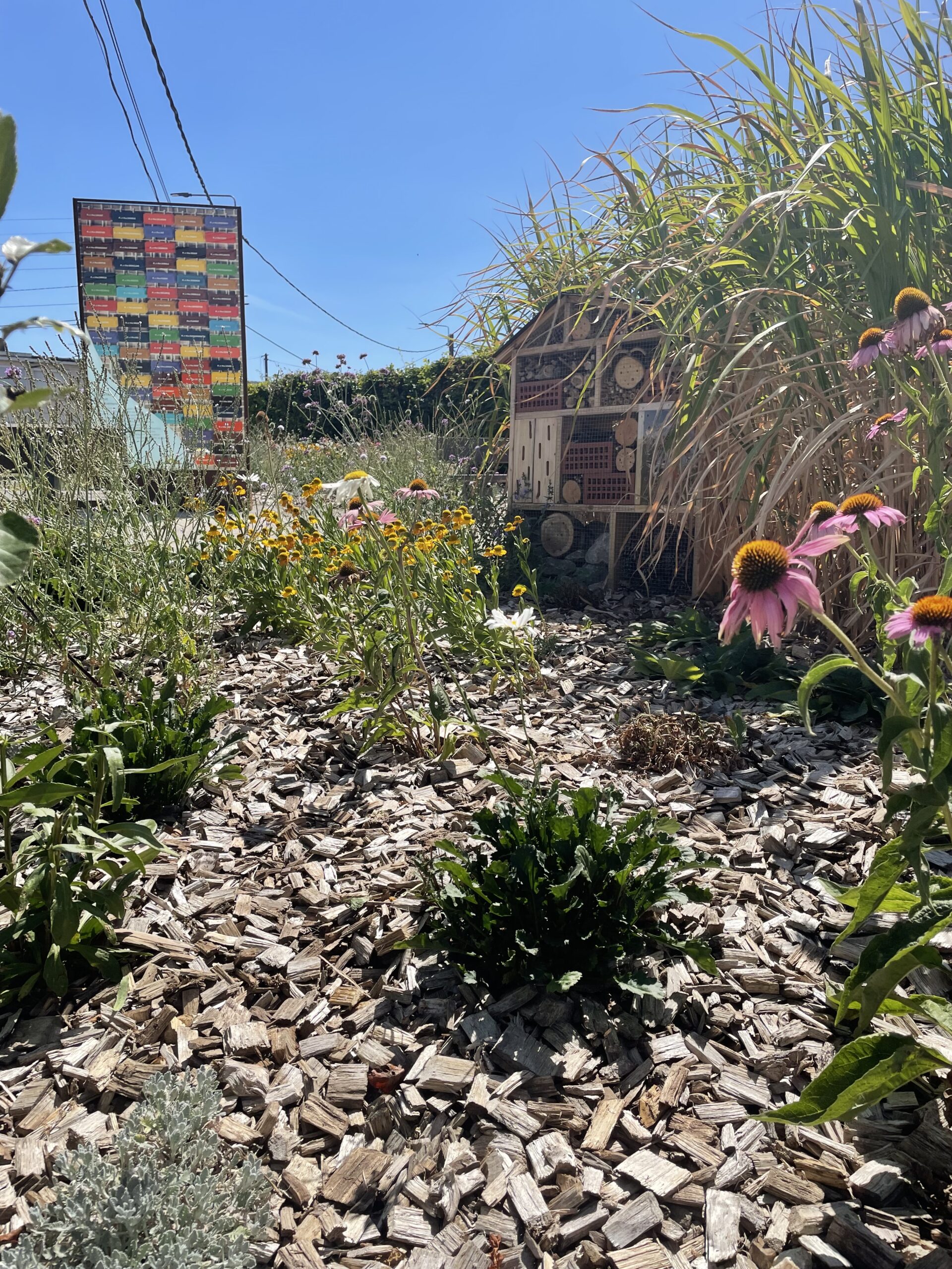 Une belle entrée pour les Castors - Ville de Loos-en-Gohelle