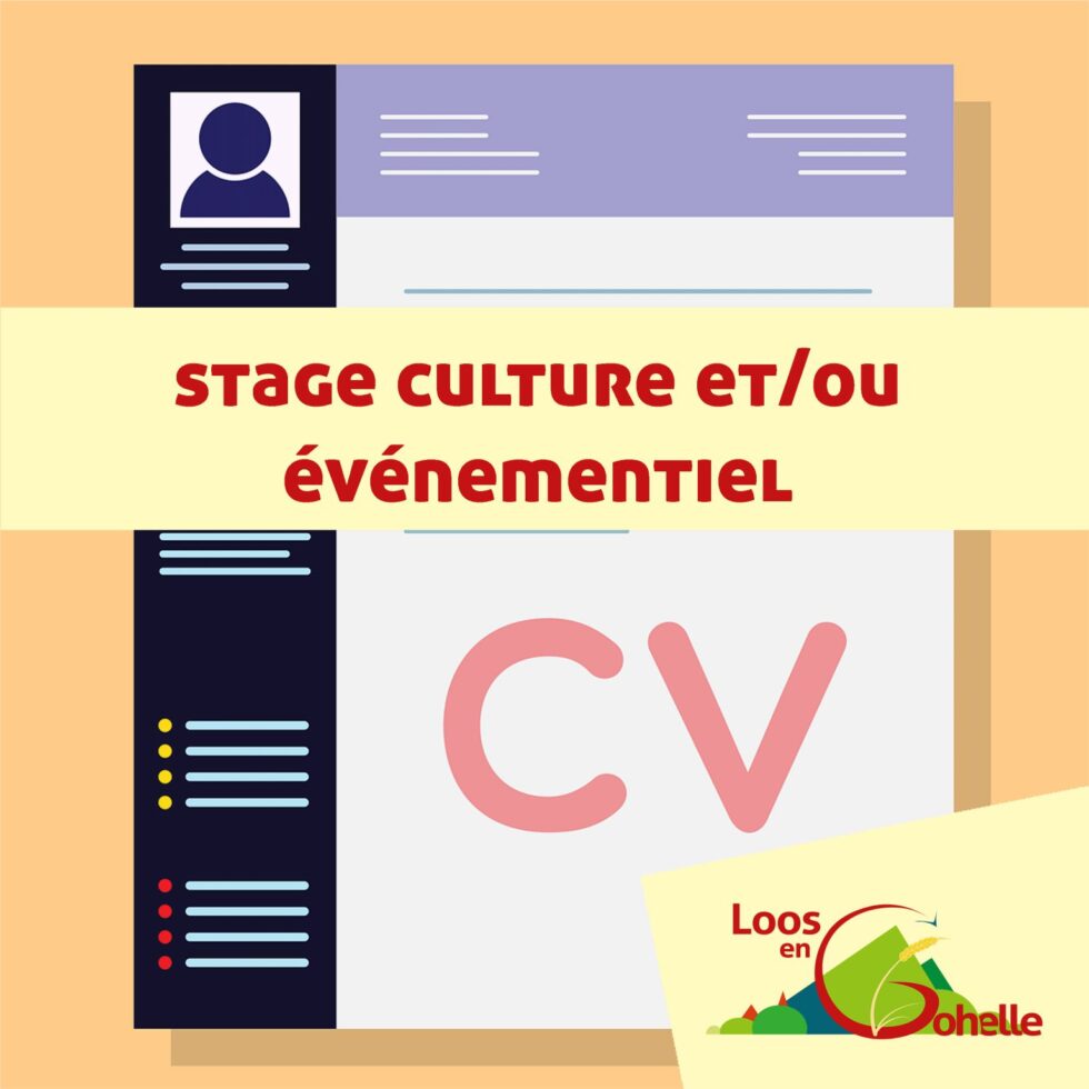 Offre de stage dans la Culture et l’événementiel | Ville de Loos-en-Gohelle