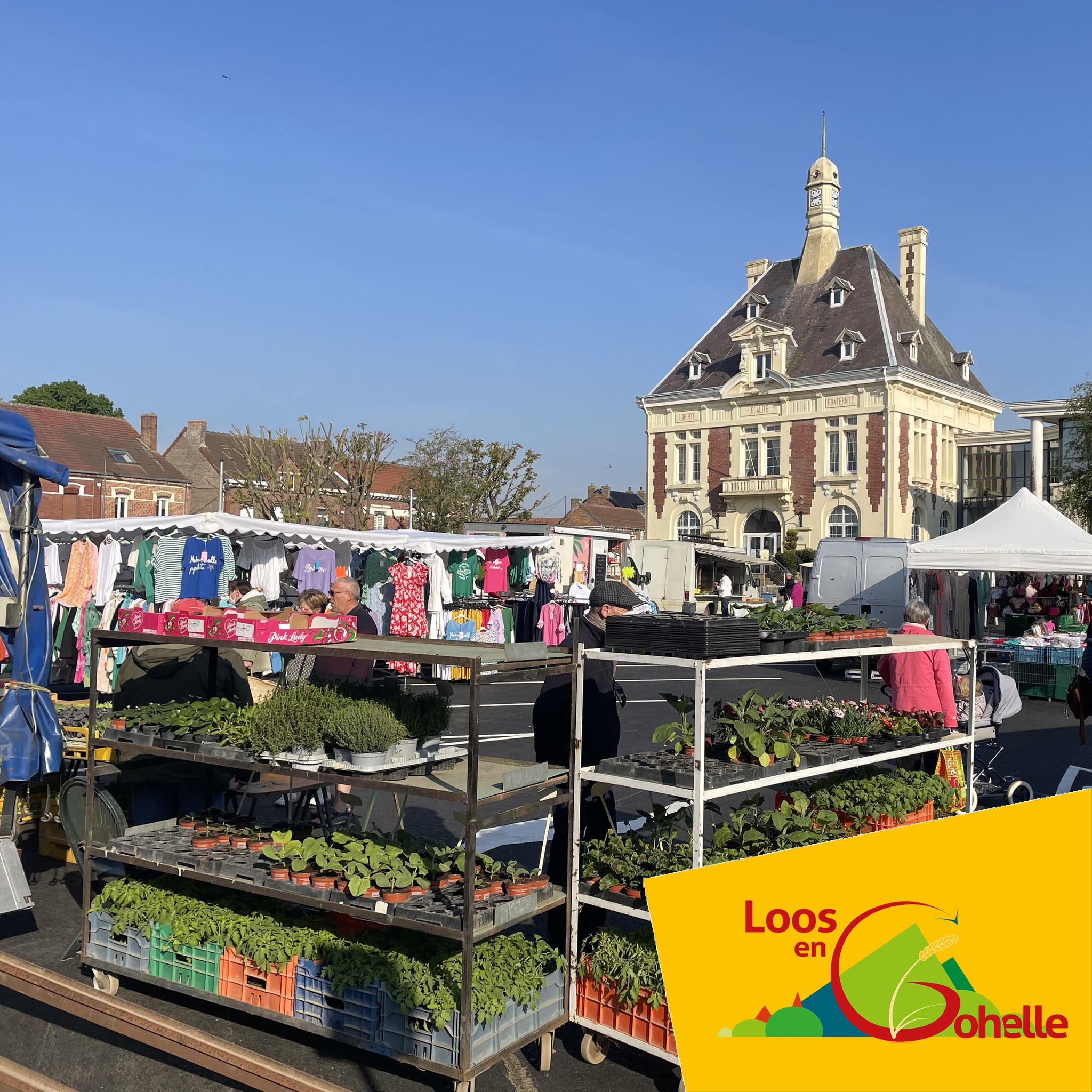 Infos marché hebdomadaire (18 et 25 mai) - Ville de Loos-en-Gohelle